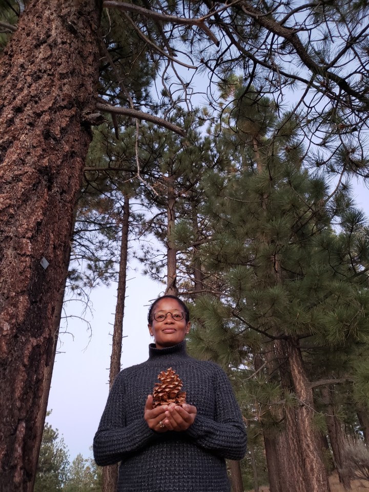 Ananda Leeke – Thriving Mindfully as the Real You!